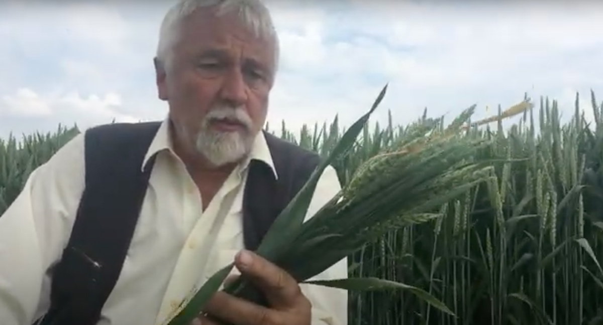 Ing. Karel Říha hodnotí porosty ošetřené přípravky BioAktiv CZ ...