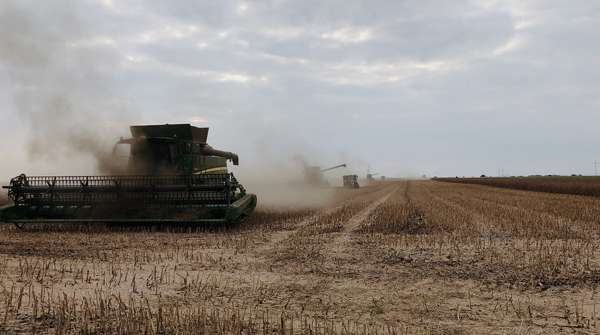 ZEMKO Kožlí, a.s. a navýšení výnosu řepky s AktiFerem SuperPhos + Cu a ...